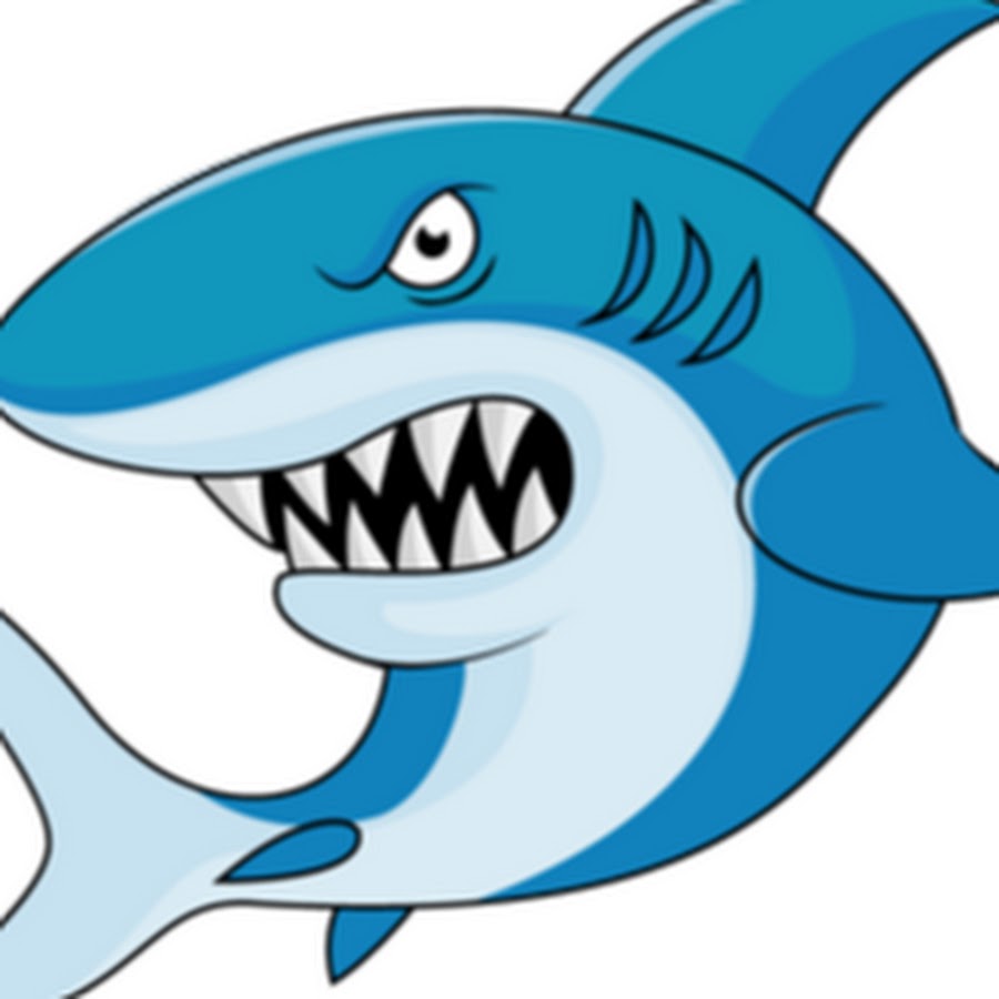 Shark Clan - YouTube