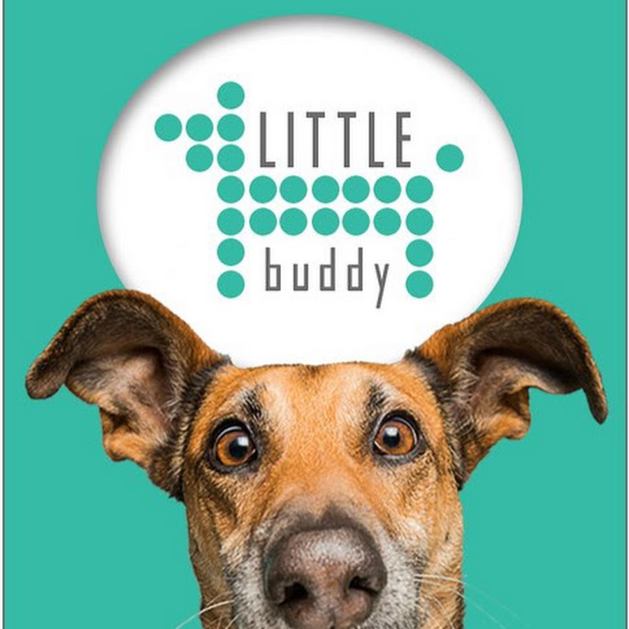 Little Buddy - YouTube