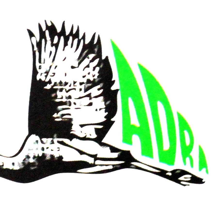 ADRA ANGOLA OFICIAL - YouTube