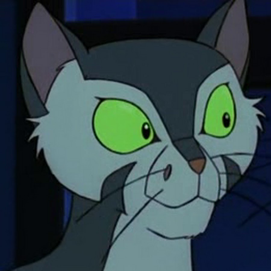 Francis Cat - YouTube