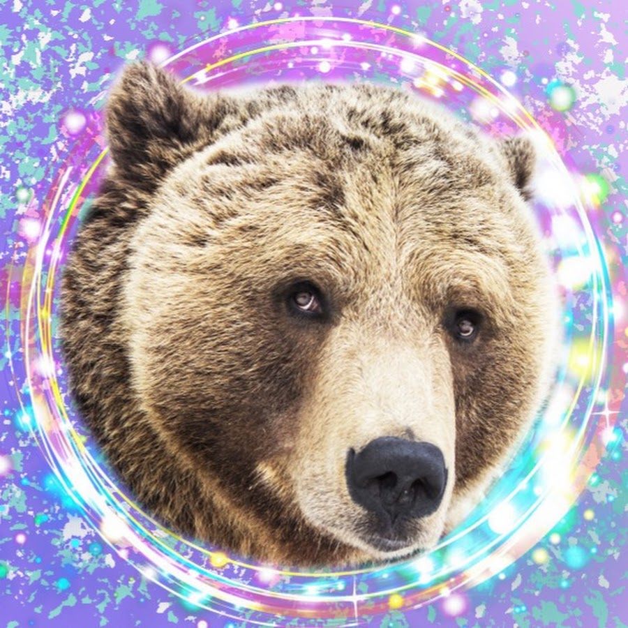 Медведь Мансур - Mansur the Bear - YouTube