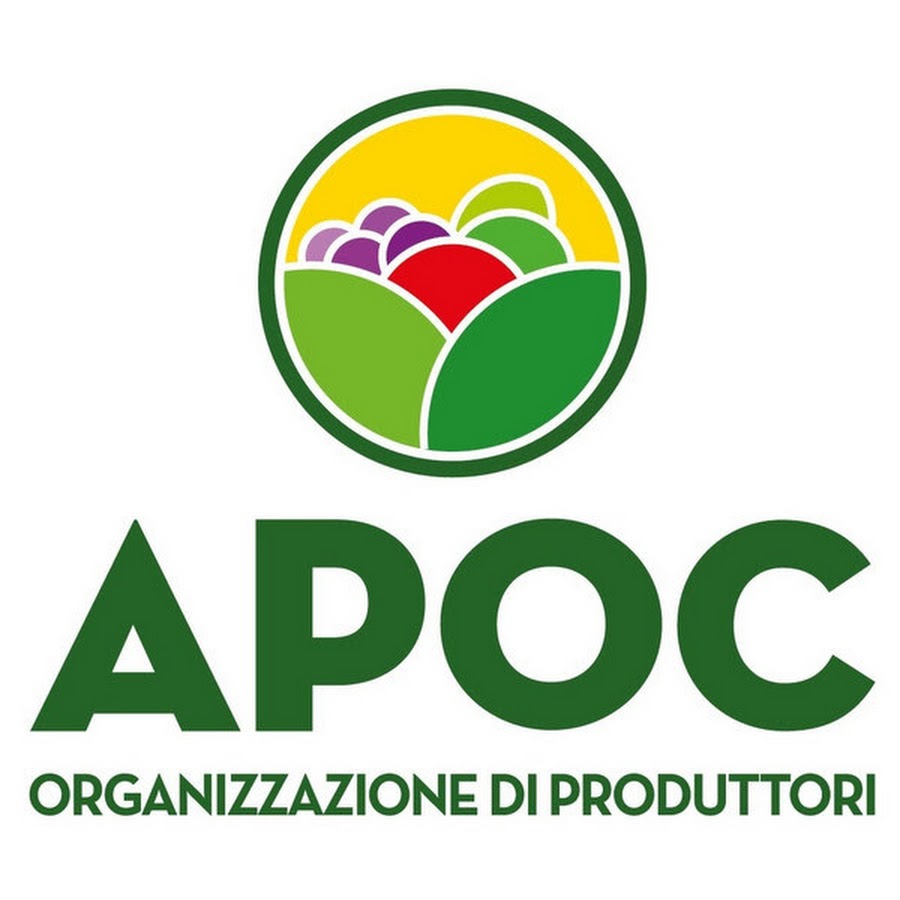 APOC Channel - YouTube
