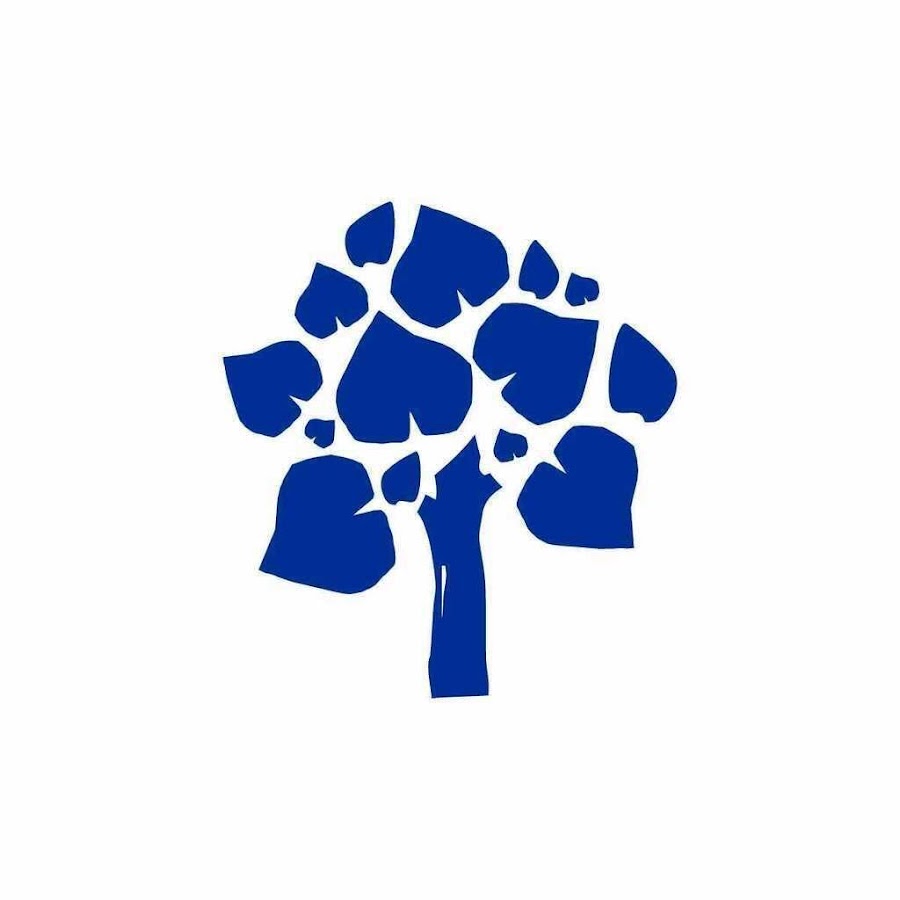 Blue Mahoe Capital Partners - YouTube