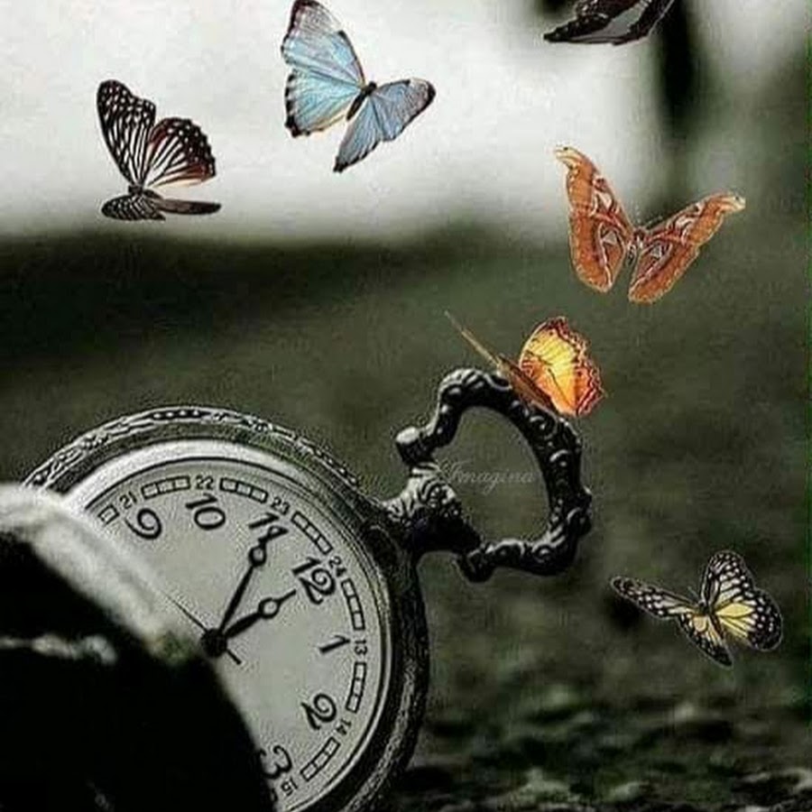 SARI cool officiel - YouTube