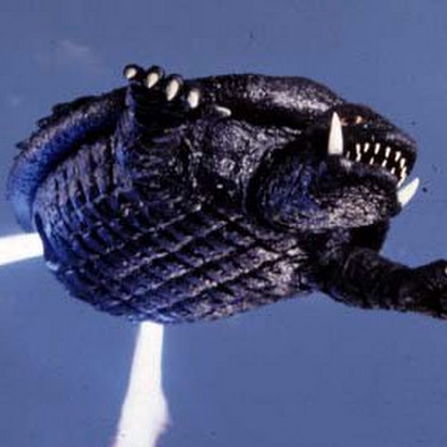 The Flying Turtle Japan - YouTube