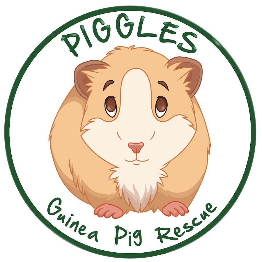Piggles Rescue - YouTube
