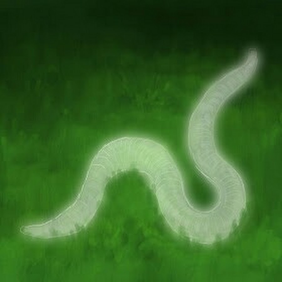 Ghost Worm - YouTube