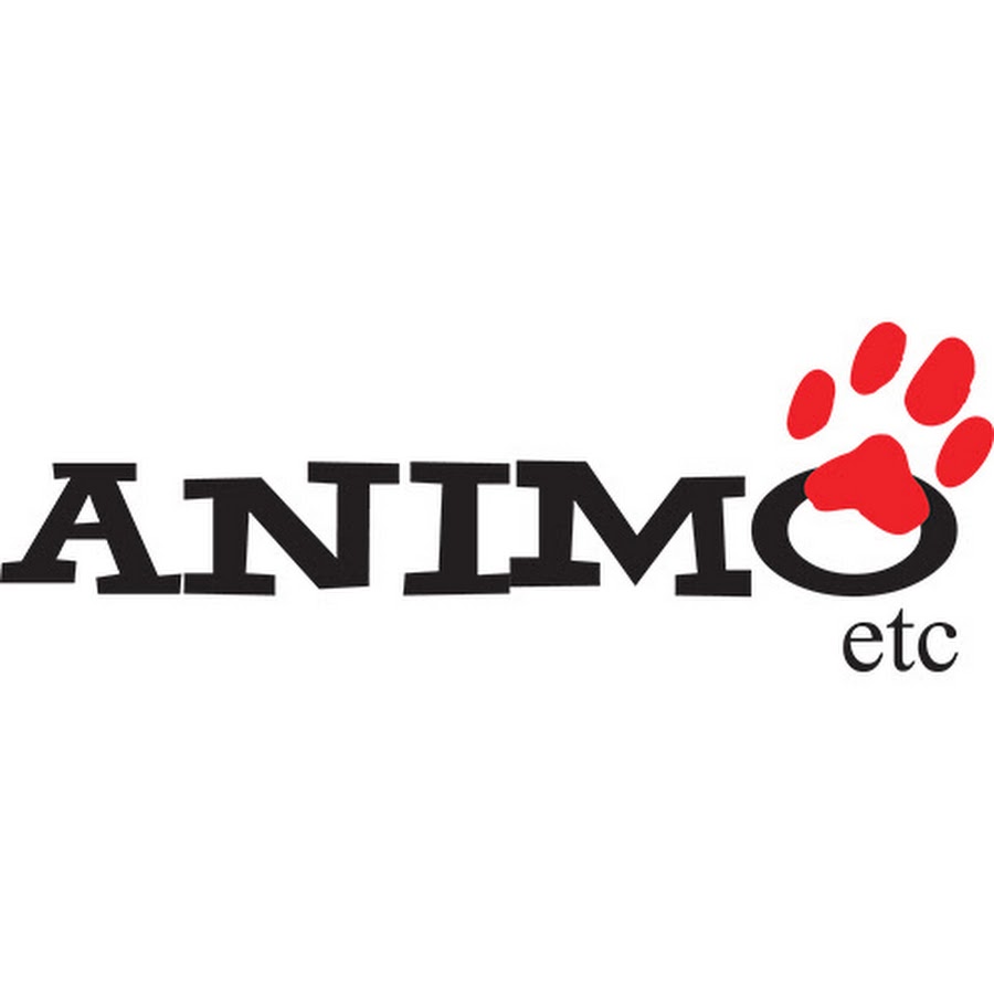 Animo etc - YouTube