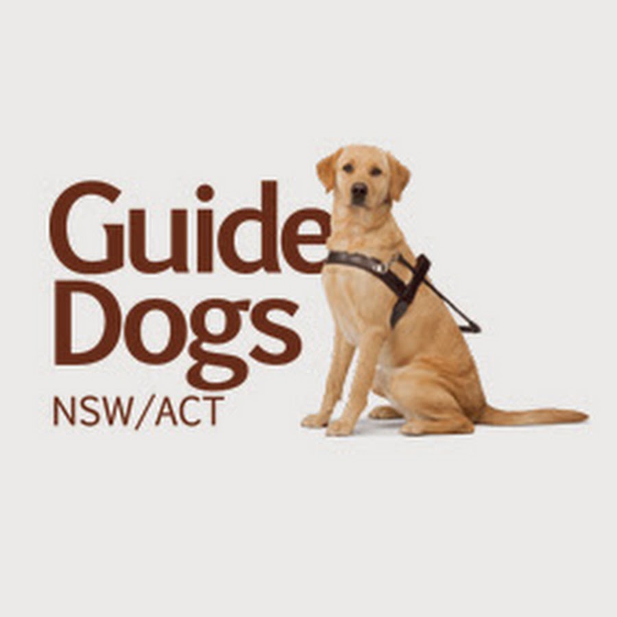 Guide Dogs NSW ACT YouTube