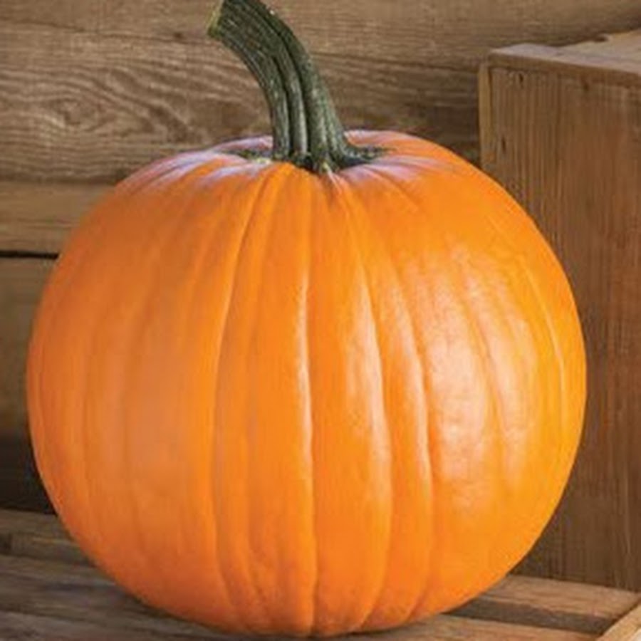 Pumpkin Guy - YouTube