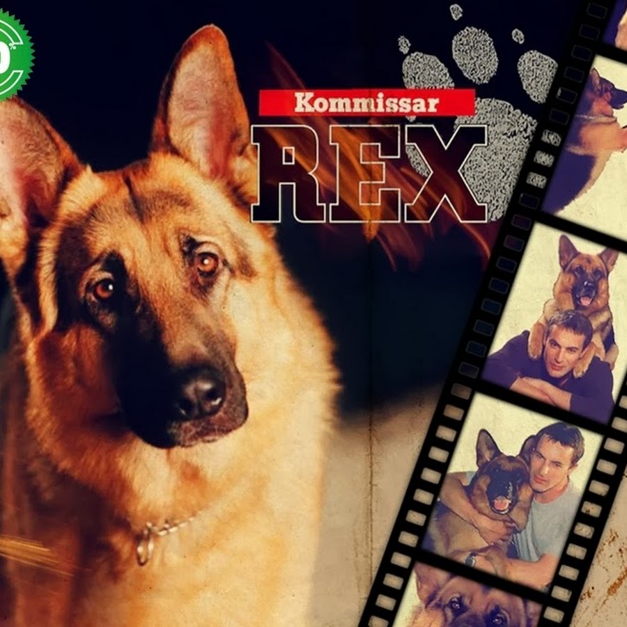 Kommissar Rex - YouTube
