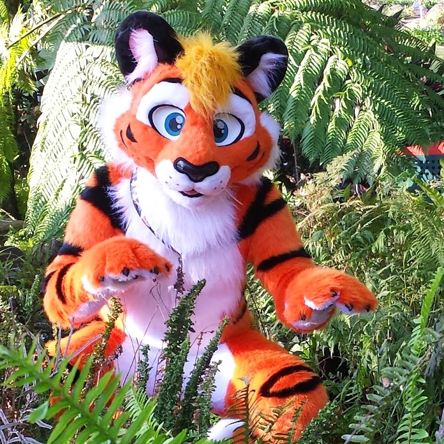 Dash Tiger - YouTube