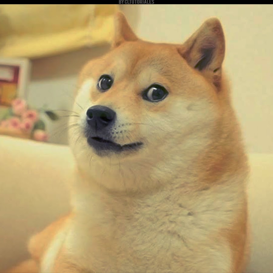 Master Doge - YouTube