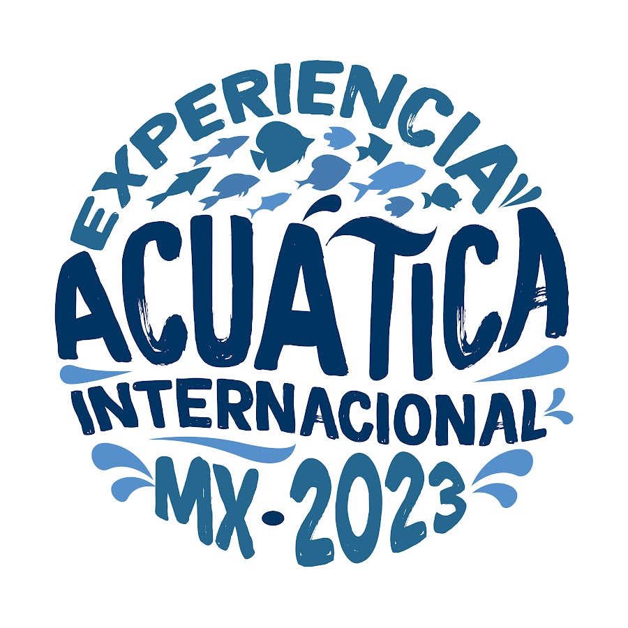 Steff J Show - YouTube