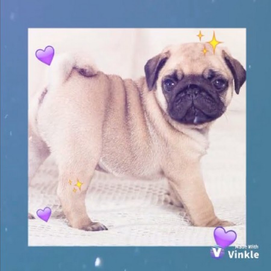 Gaming Pug - YouTube