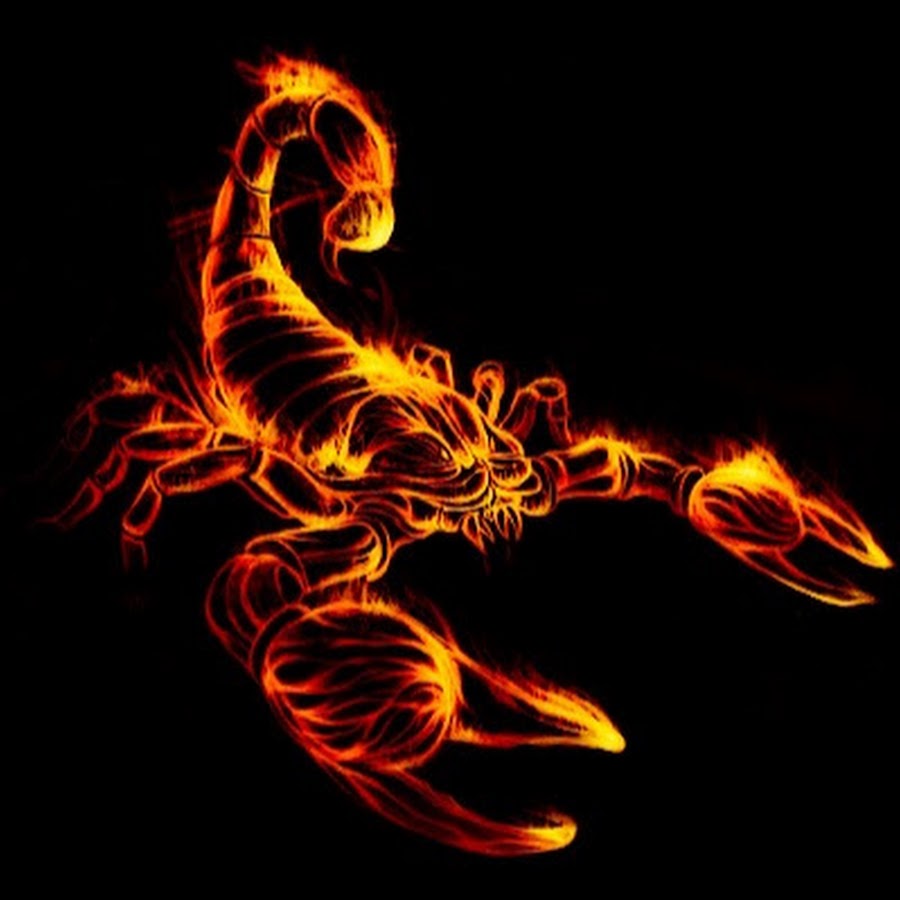 Fire Scorpion - YouTube