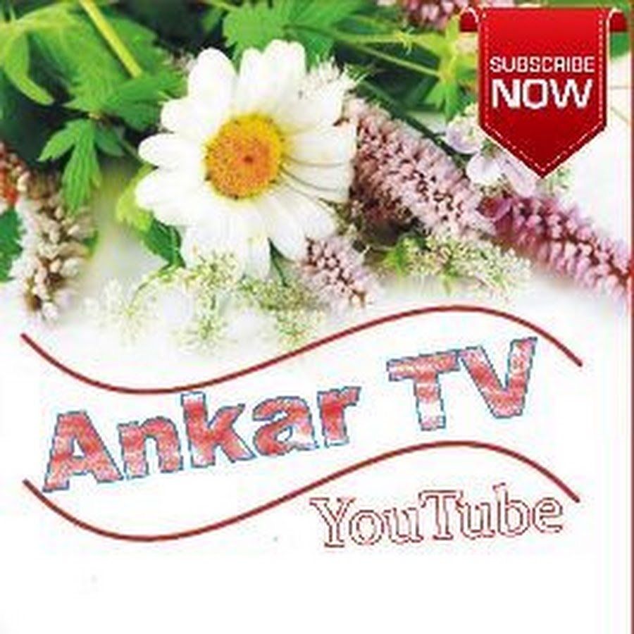 Ankar TV - YouTube