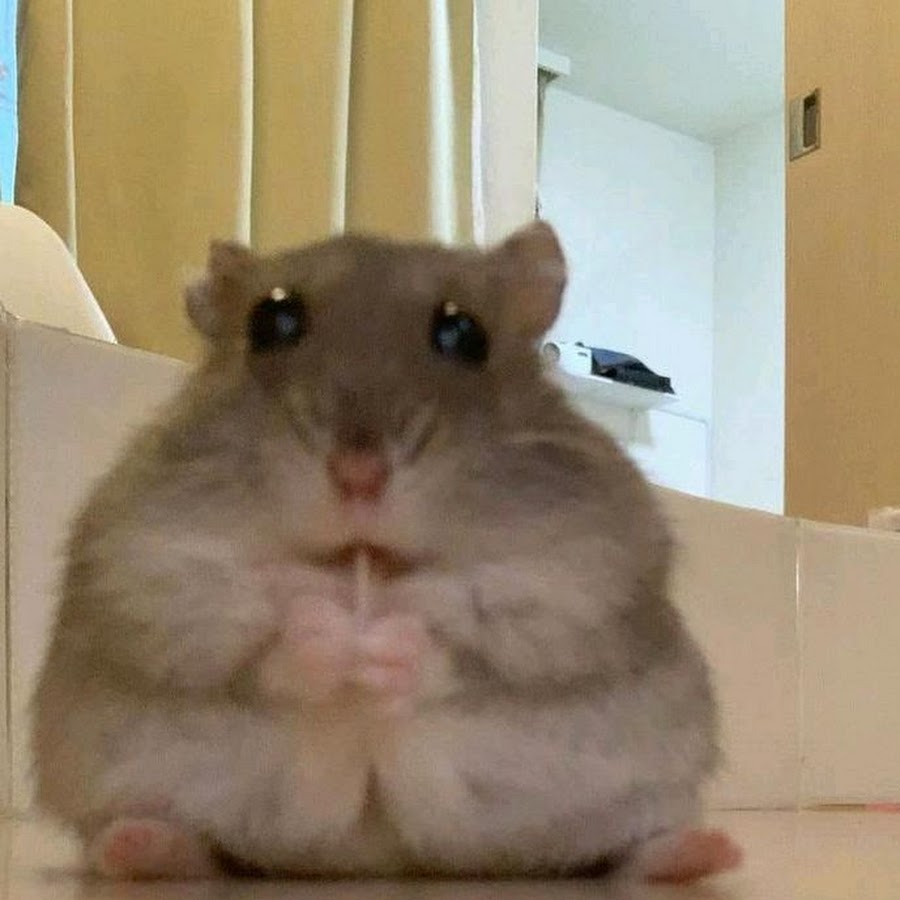 Isabel Piper - YouTube