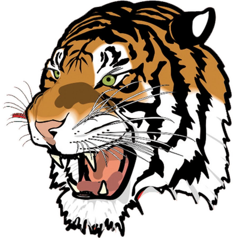 TIGER AMIRA COM SRL - YouTube