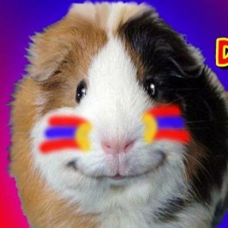 El Cuy Esta Vivo - YouTube