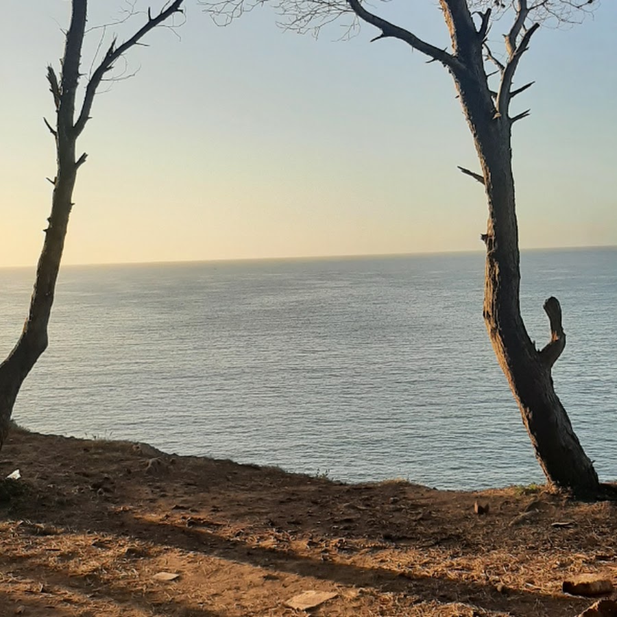 Echourouk Tv HD - YouTube