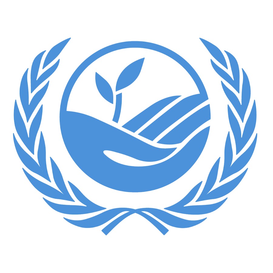 UNCCD - YouTube