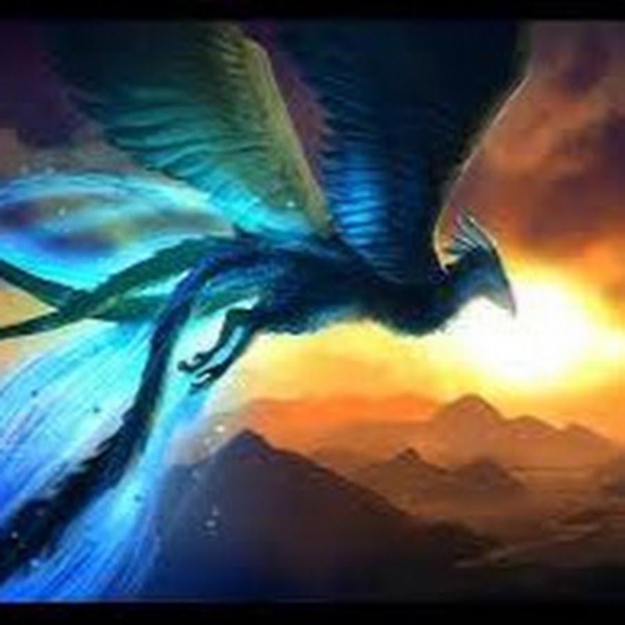 The Phoenix - YouTube