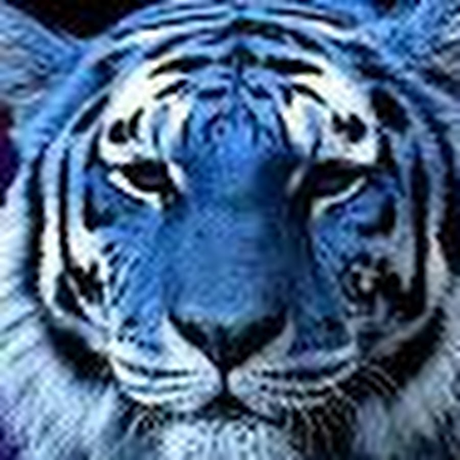 EL TIGRE AZUL - YouTube