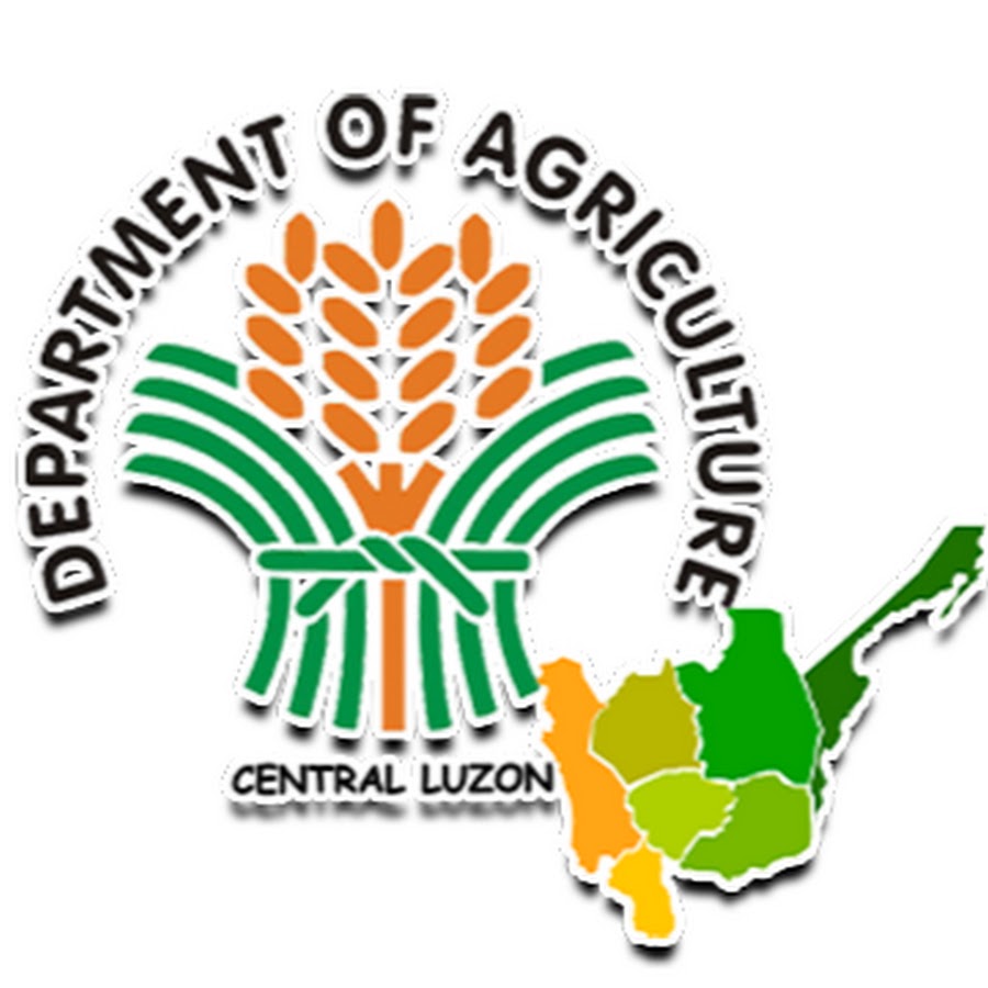 Department of Agriculture Central Luzon - YouTube