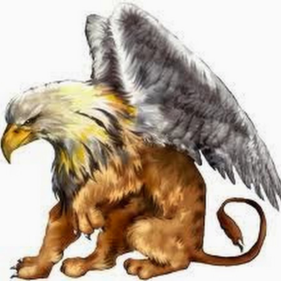 Griffin Wings - YouTube