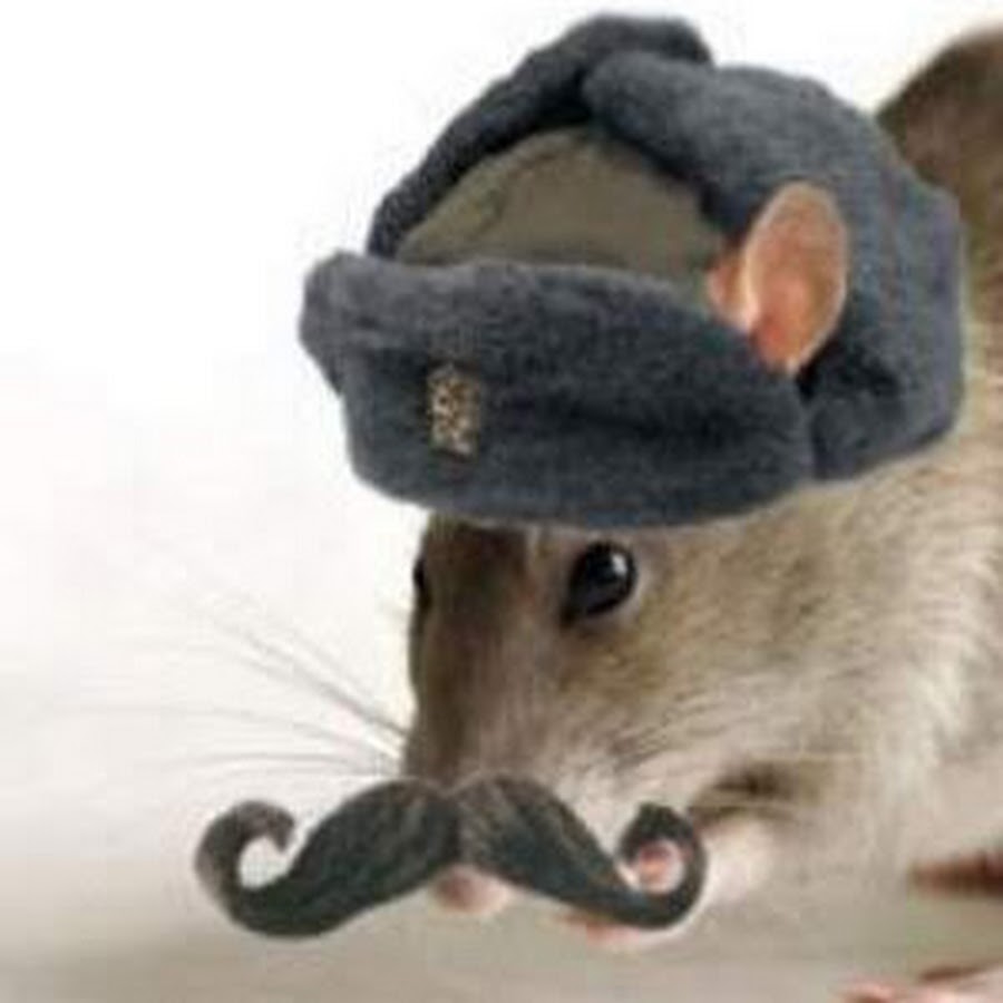 Aragon La rata rusa - YouTube