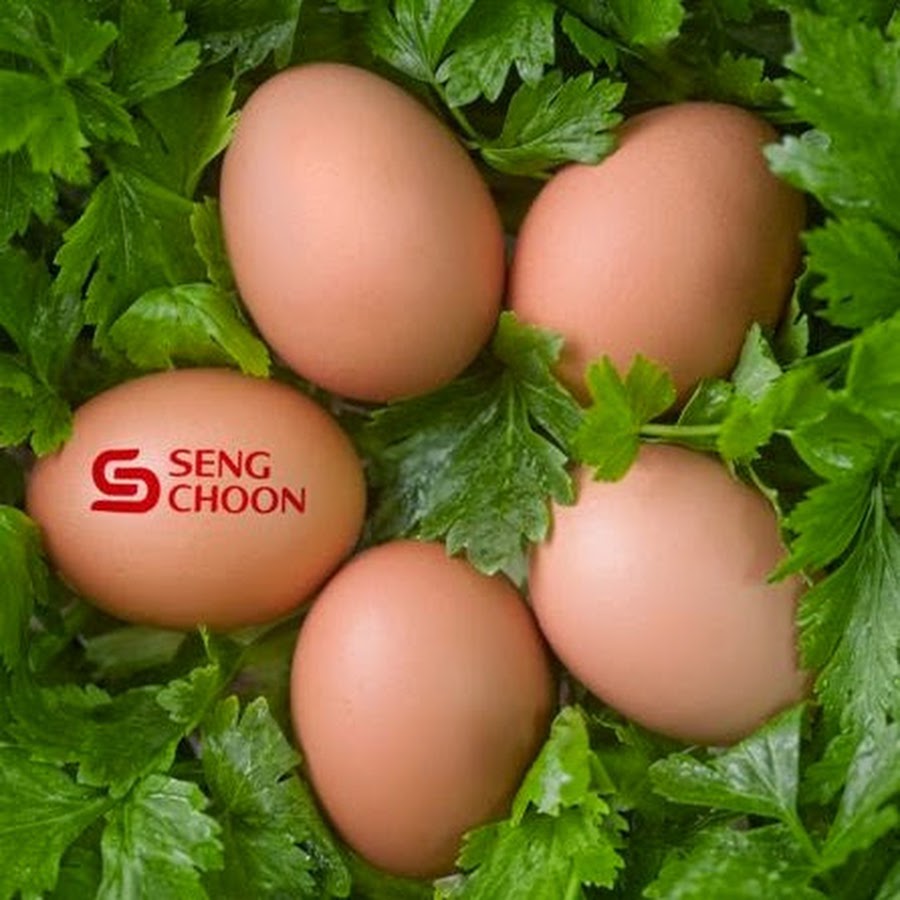 Seng Choon Farm - YouTube