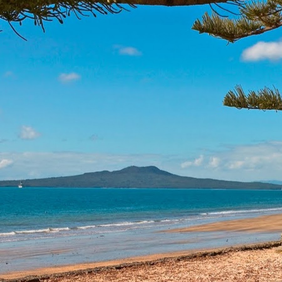 Bayleys Real Estate, Albany North Shore, Auckland - YouTube