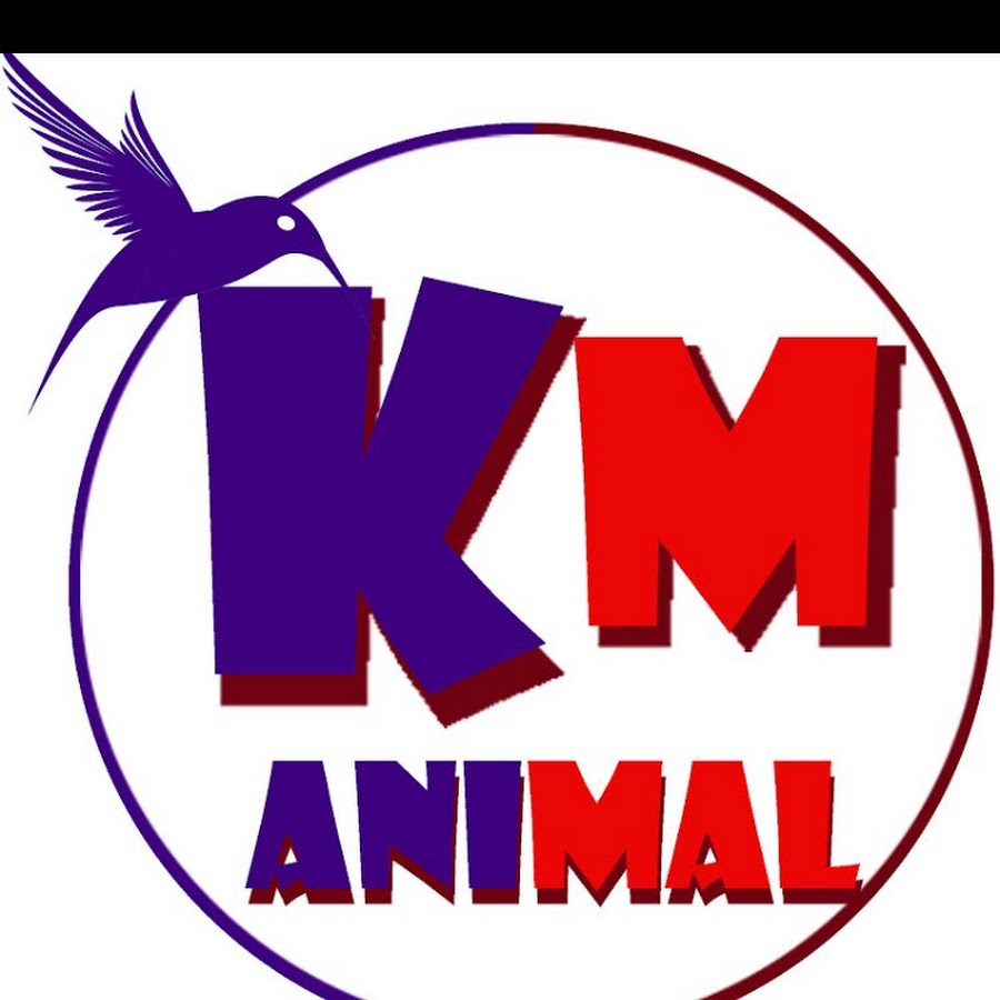 Km Animal - YouTube