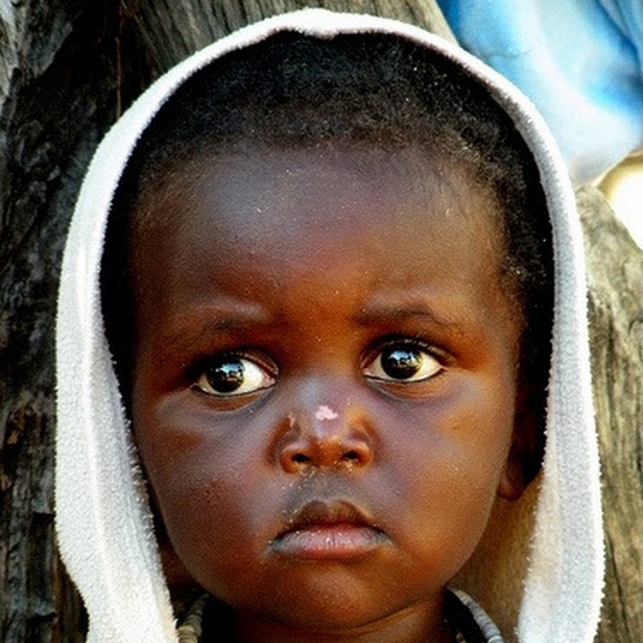 Poor African Niglet - YouTube