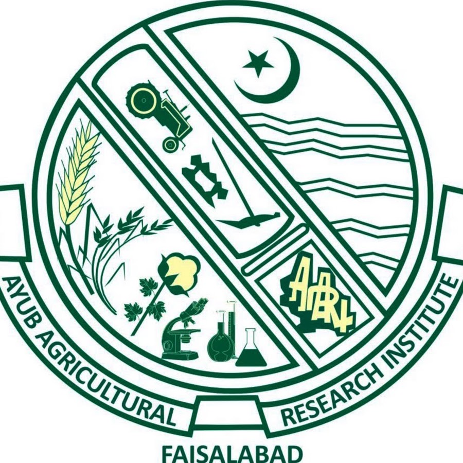 Ayub Agricultural Research Institute Faisalabad - YouTube