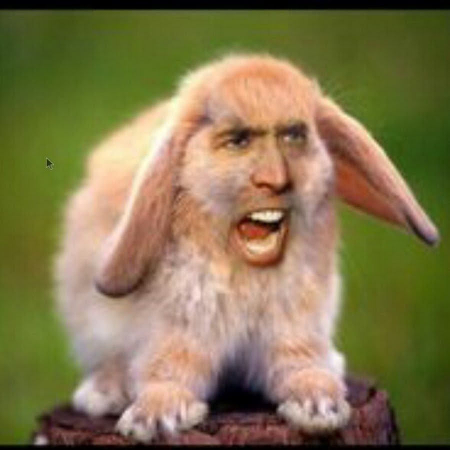 ugly bunny gaming - YouTube