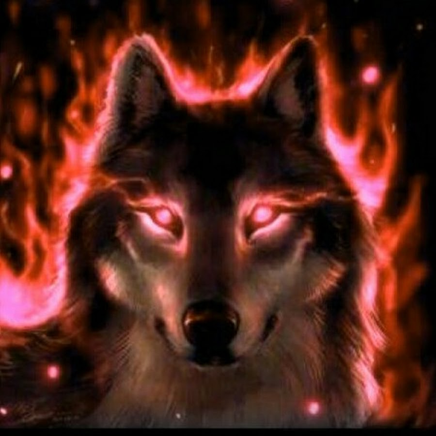 The FIREWOLF - YouTube