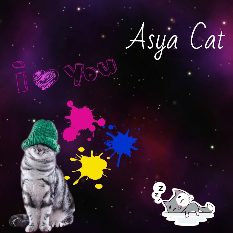 Asya Cat - YouTube