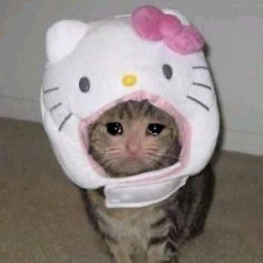 boo pookie - YouTube