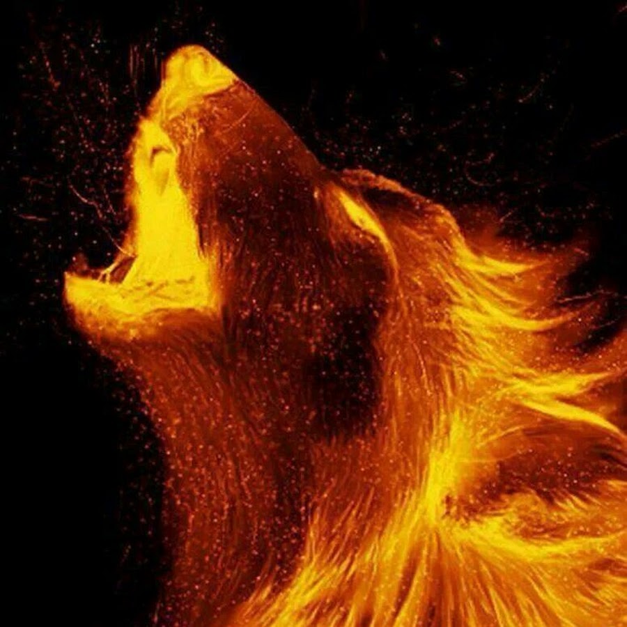 Neon fire wolf - YouTube