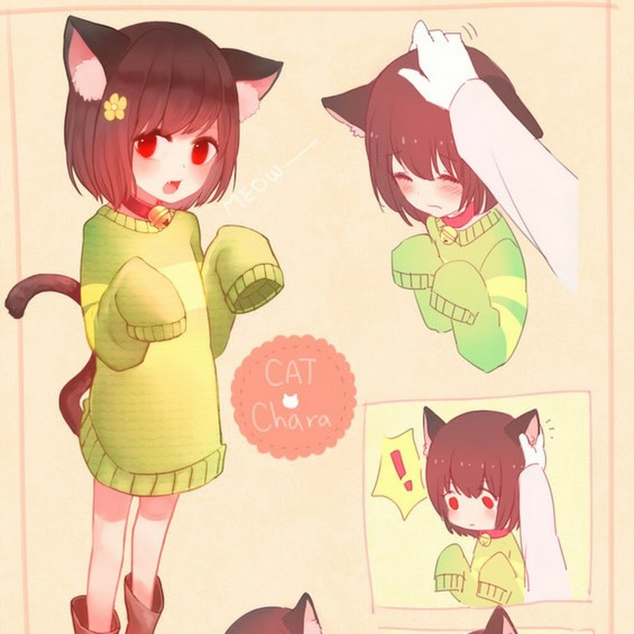 Chara CAT - YouTube