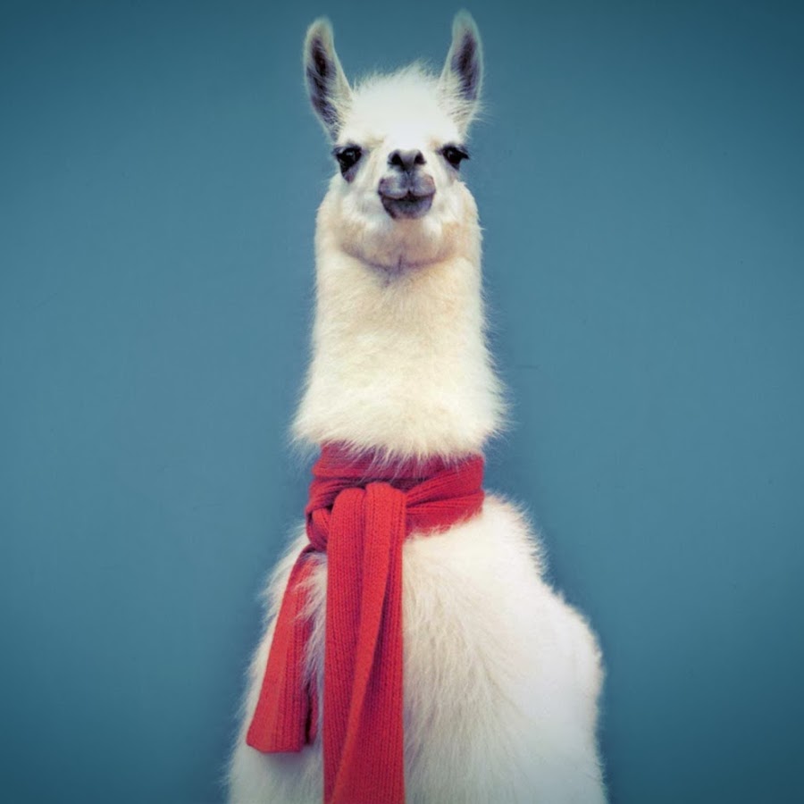 The Gaming Lama - YouTube