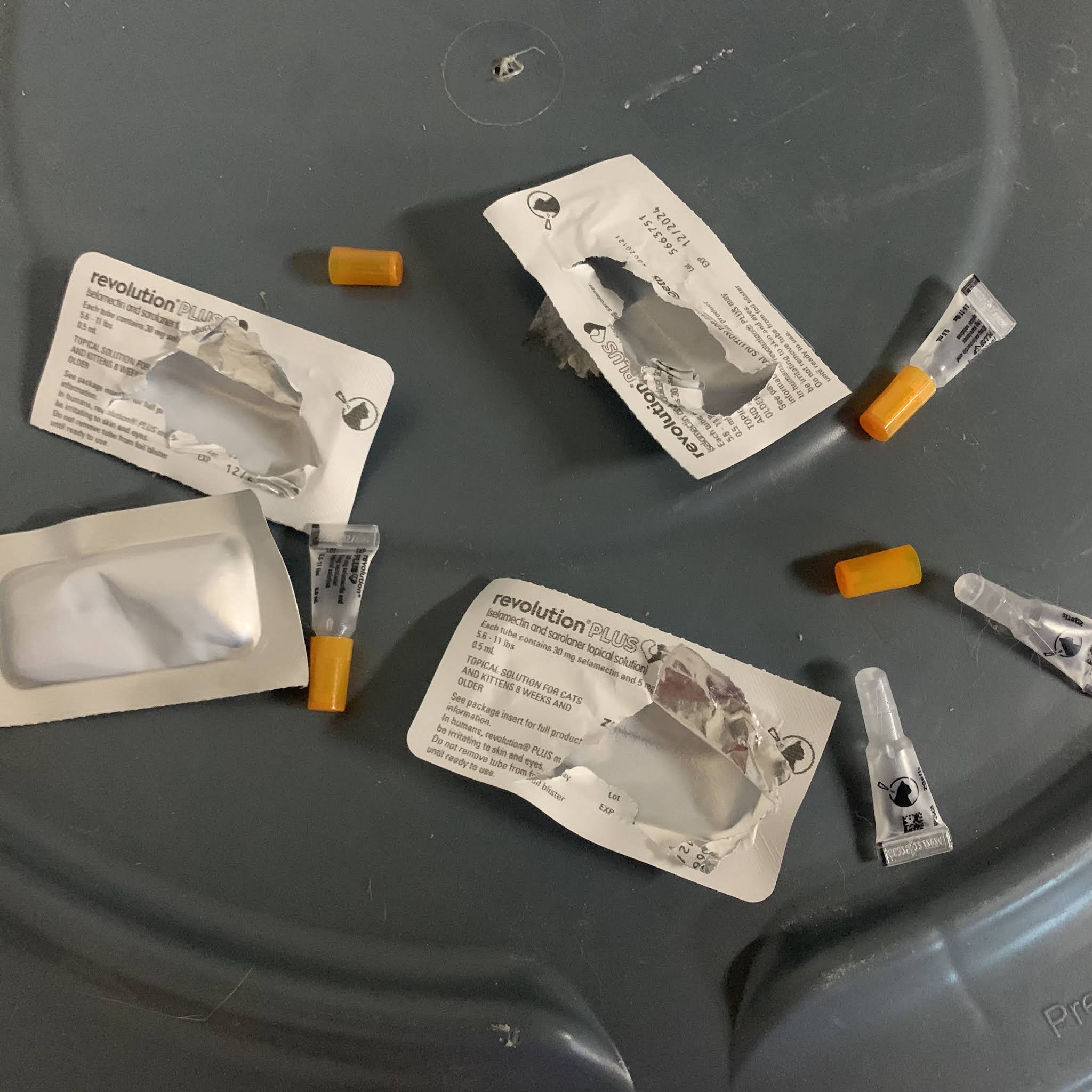 Post from Kaye Kittrell Late Bloomer