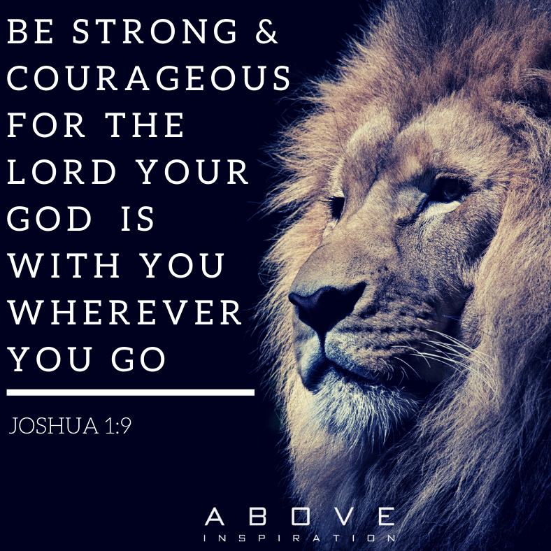 Post from ABOVE INSPIRATION