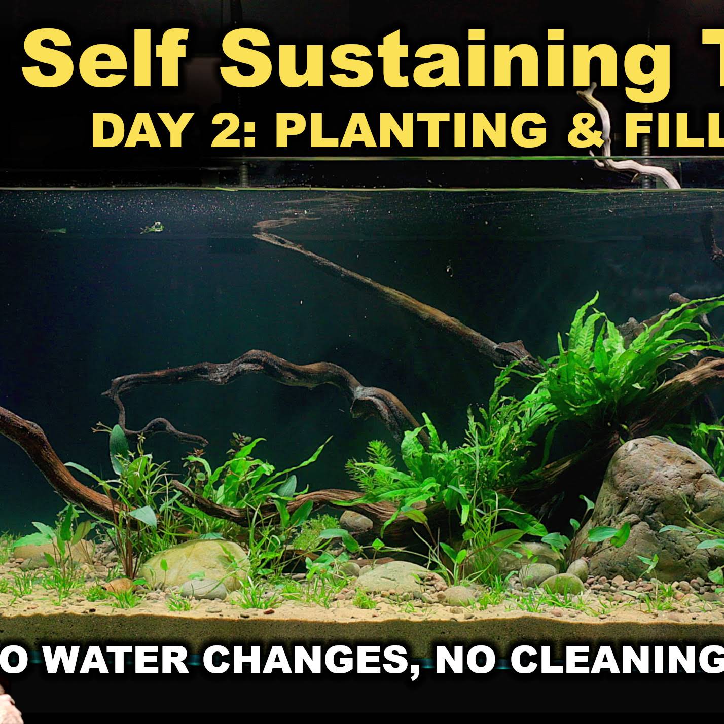 @mdfishtanks | MD Fish Tanks | fishfam.link