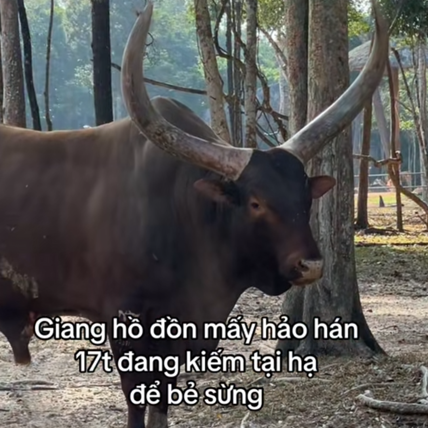Post from Lagry