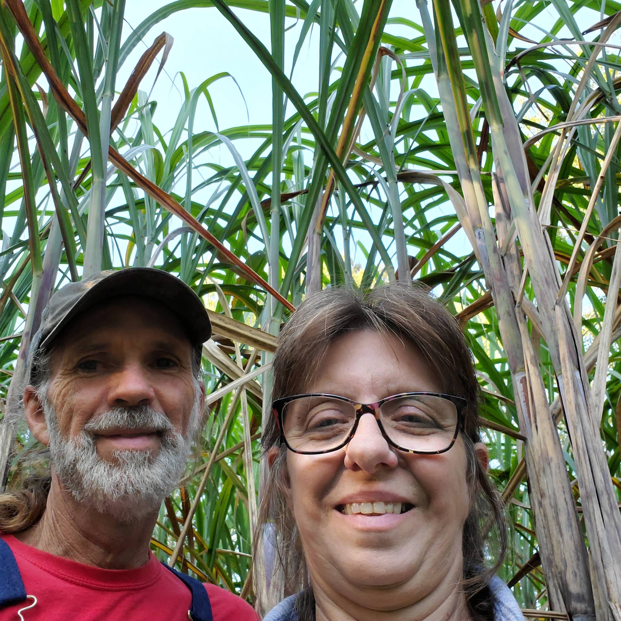 Post from Deep South Homestead