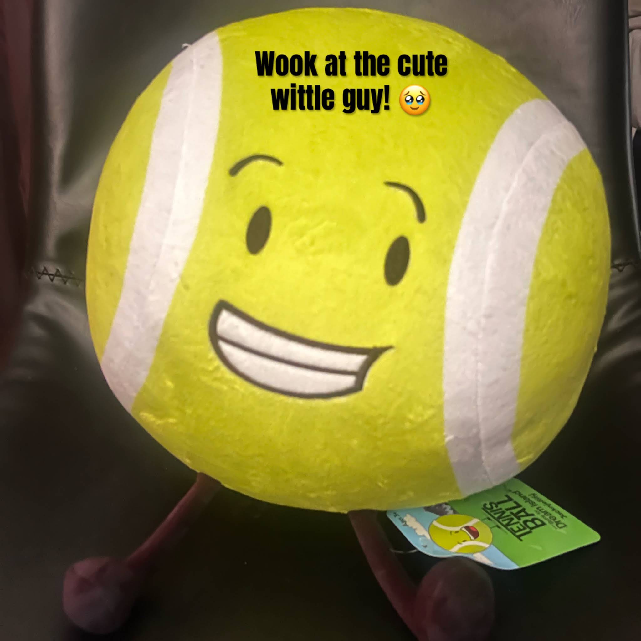 Post from BFDI Fan Boi