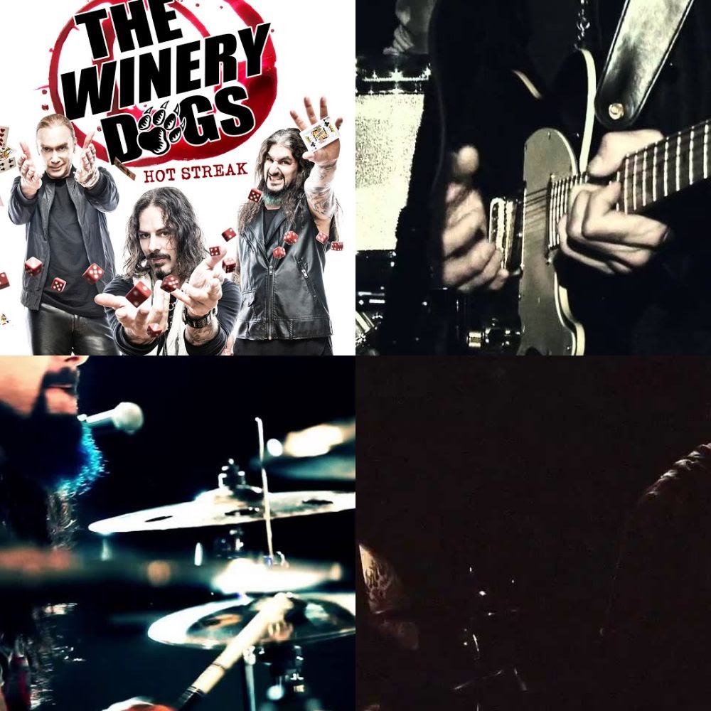 The Winery Dogs (Best Videos)